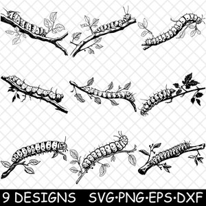 Caterpillar Larva Tree Branch Insect Butterfly Cocoon Laser File SVG ...