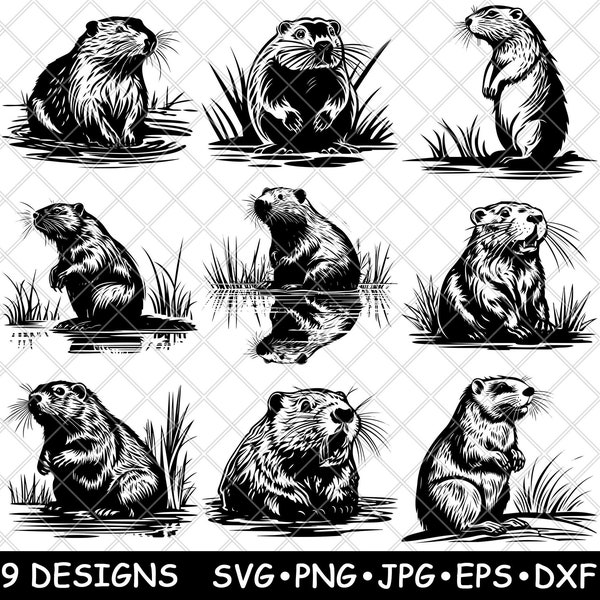 Beaver Dam - Etsy