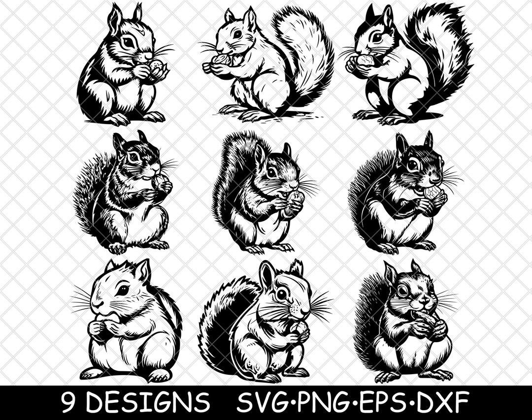 Squirrel With Nut Feeding Walnuts Hazelnuts Hoard Store Laser File SVG ...