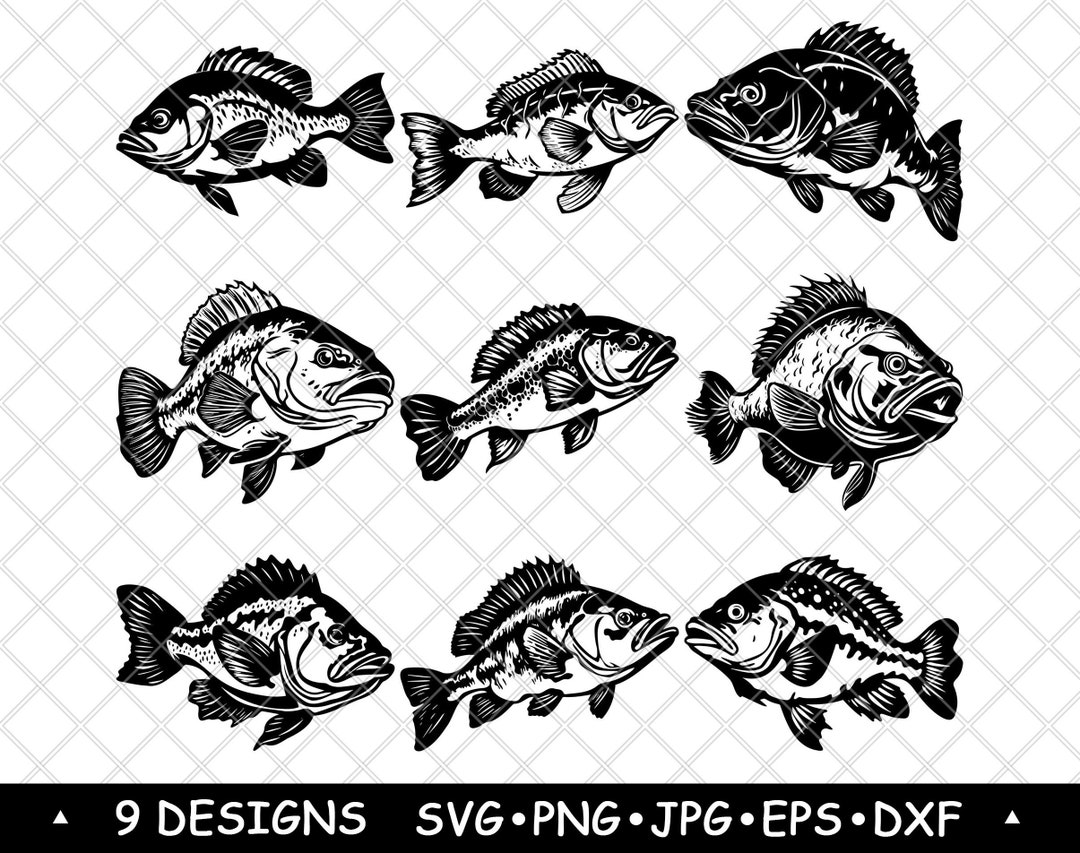 Grouper Fish Sea Bass Red Snapper Grumpy Marine Life Art Laser File SVG ...