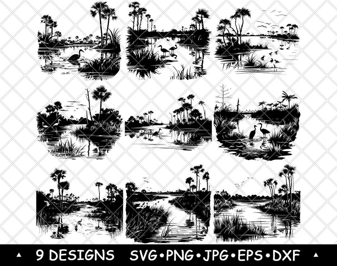 Everglades National Park Reserve Wetland Swamp Marsh River River Svg ...