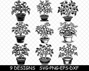 Tomato SVG Tomato DXF Tomato PNG Tomato Clipart Tomato - Etsy