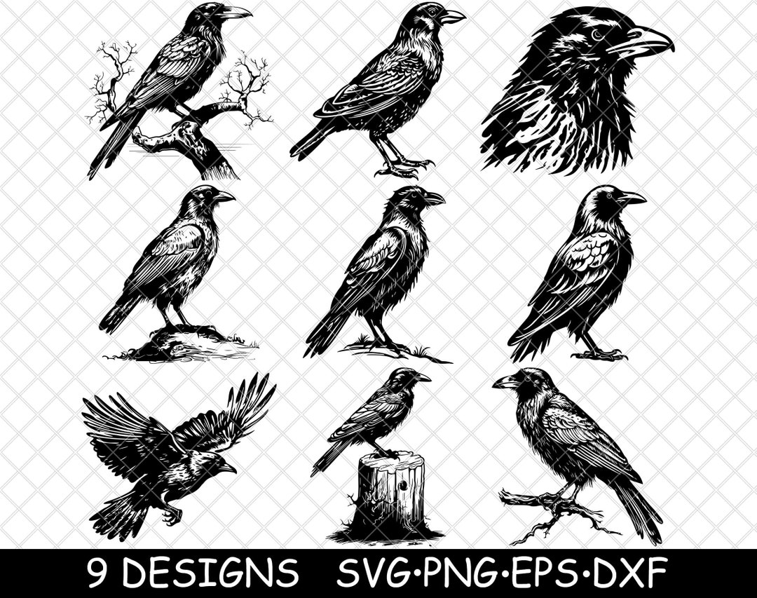 Raven Black Bird Mysterious Dark Omen Cawing Magic Crow Png,svg,eps ...
