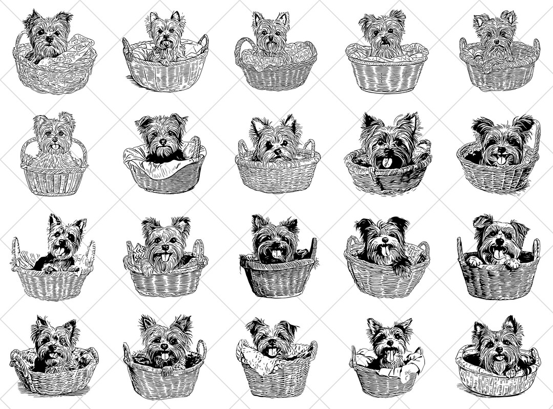 Cute Yorkie Dog in Basket Small Size Puppy Yorkshire Coaster Black ...