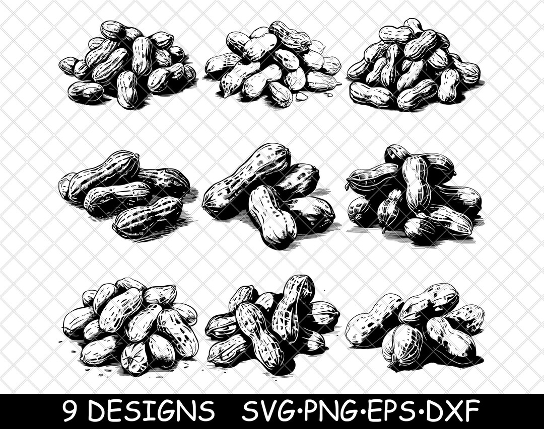 Peanut Groundnut Legume Nut Snack Roasted Farm Garden Plant Butter Svg ...