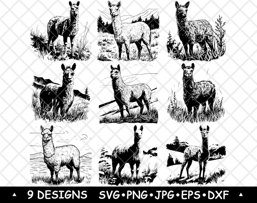 Llama Camelid Peruvian Andes Alpaca Wooly Cria Farm Fluffy Lama Svg,dxf ...