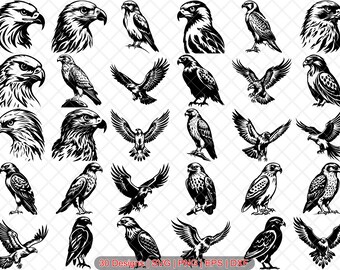 Falcon Stencil - Etsy