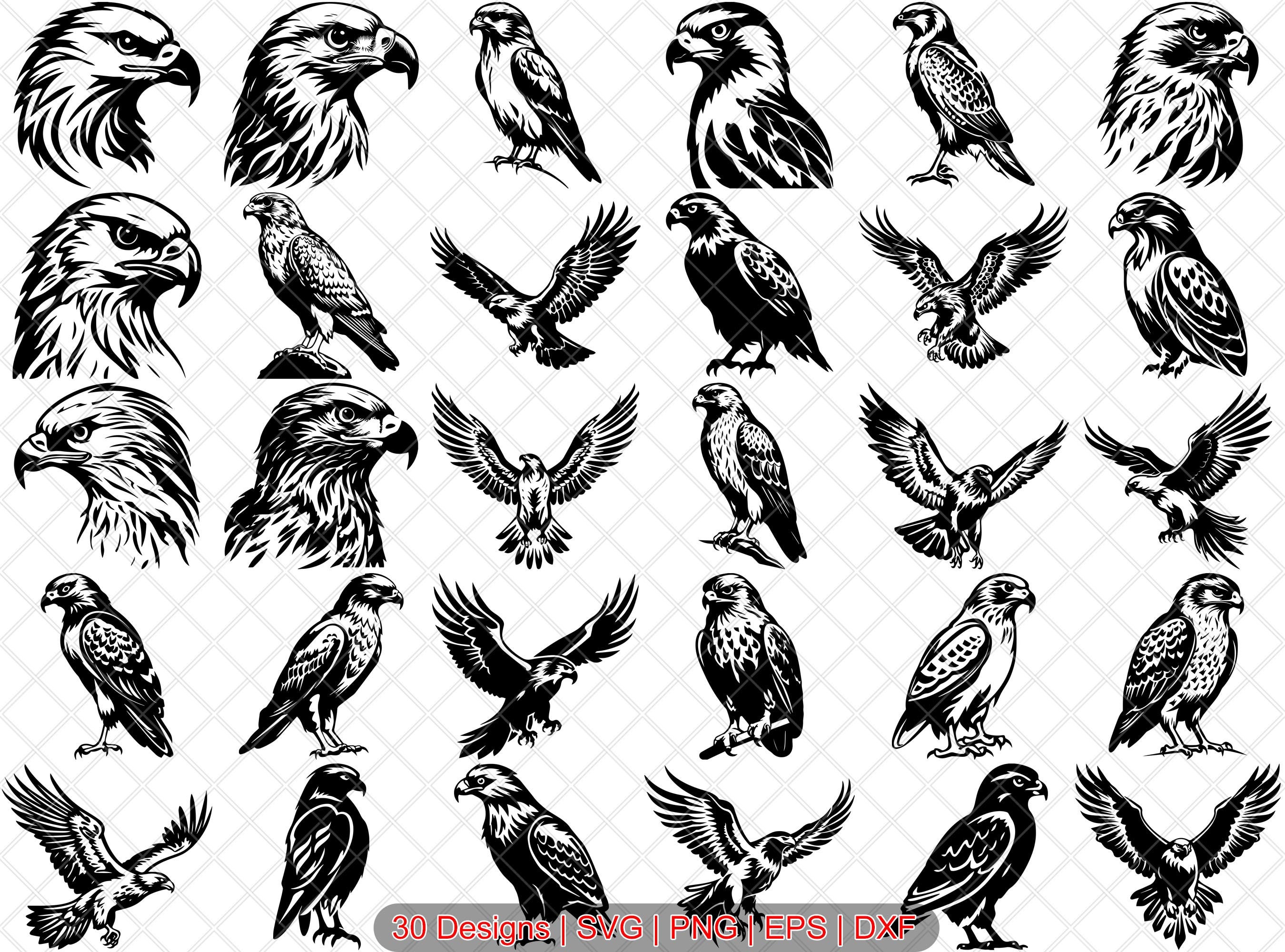 Halcón Volador Clipart En Blanco Y Negro Vectores De Hawk Head