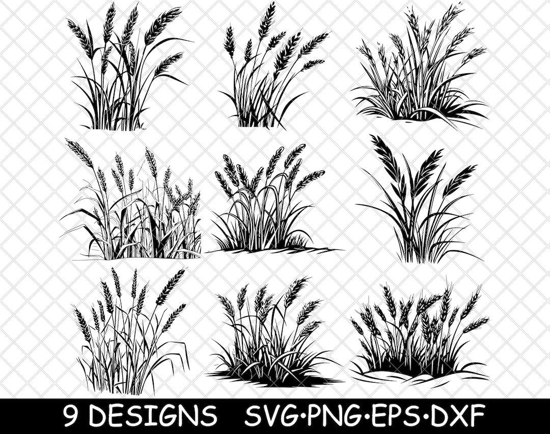 Palay Rice Paddy Crop Grain Staple Asian Farm Cereal Plant Field Svg ...