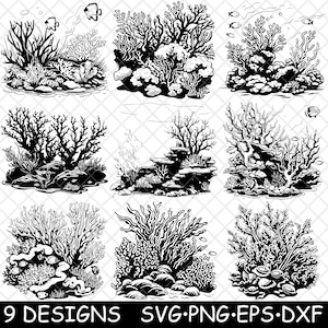 Coral Reef Colony Underwater Ecosystem Ocean Polyp Atoll Laser File SVG ...