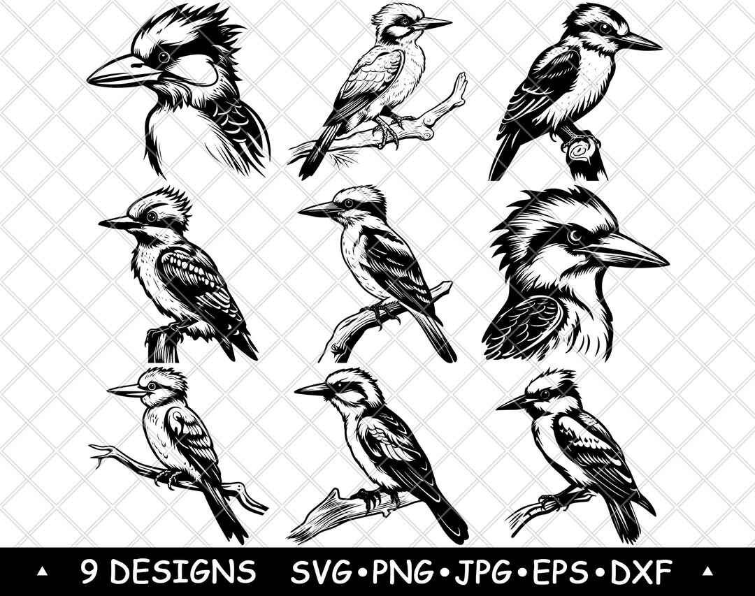 Kookaburra Kingfisher Bird Tree Terrestrial Carnivore Coaster Black ...