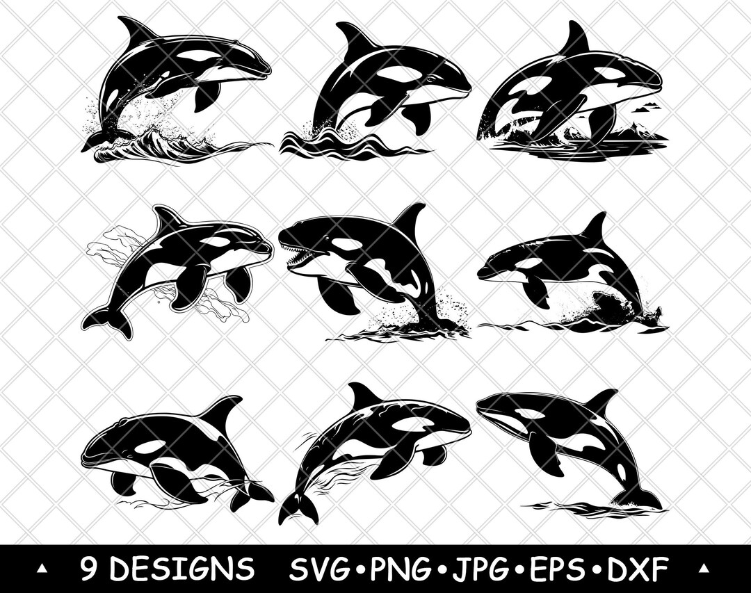 Orca Whale Vector Clipart Bundle | Killer Whale Silhouette Art for ...