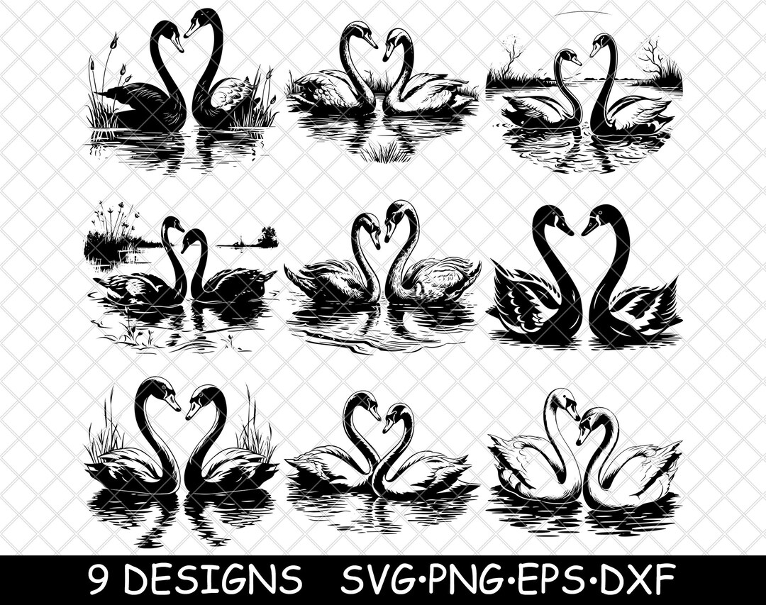 Swan Couple Swamp Lake Pair Scene Waterfowl Bird Goose Coaster Black ...