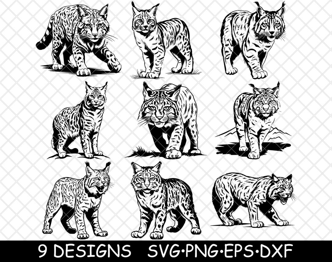 Bobcat Lynx Wildcat Bobtail Felis Red Spotted Feline Predator Svg,dxf ...