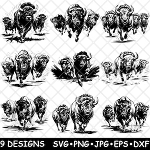 American Bison Buffalo Run Gallop Sprint Charge Herd Wild Mammal Svg ...