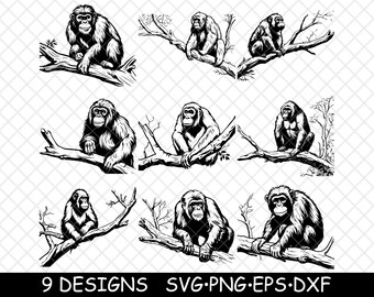 Monkey Chimp SVG Monkey Chimp Cut File Monkey Chimp DXF - Etsy