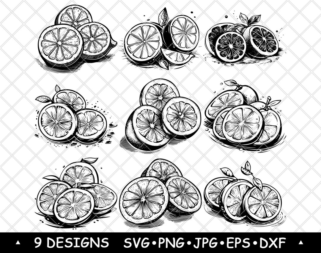 Citrus Fruit Clipart PNG Bundle | Hand-drawn Orange and Lemon Slice ...