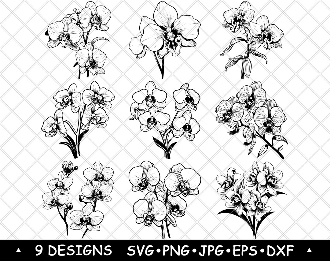 Orchid Flower SVG Bundle | Elegant Floral Line Art for Laser Engraving ...