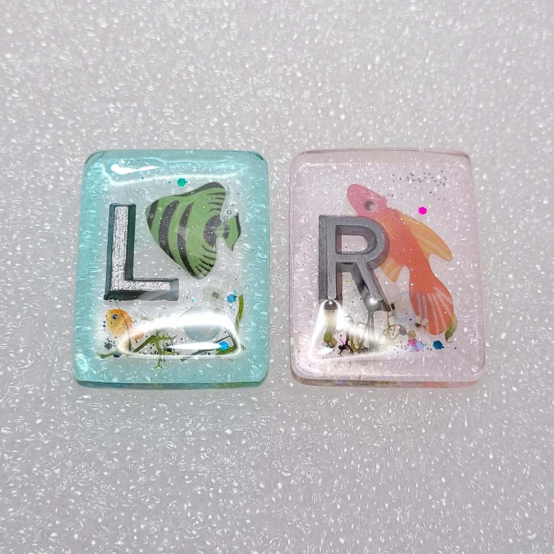 1 Pair of "fish" X-ray Markers, Super Cute, 3 Initials or Numbers ...