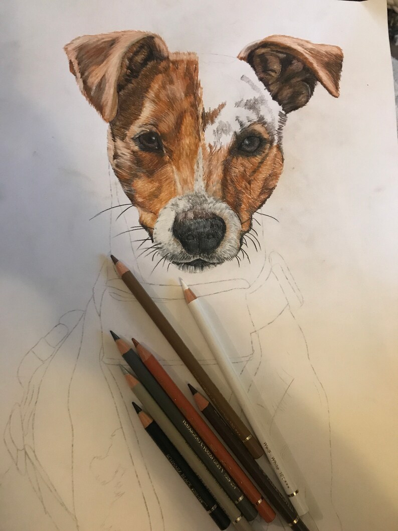 Custom Bespoke Hand Drawn Pet Portrait Prints From Photographs - Etsy
