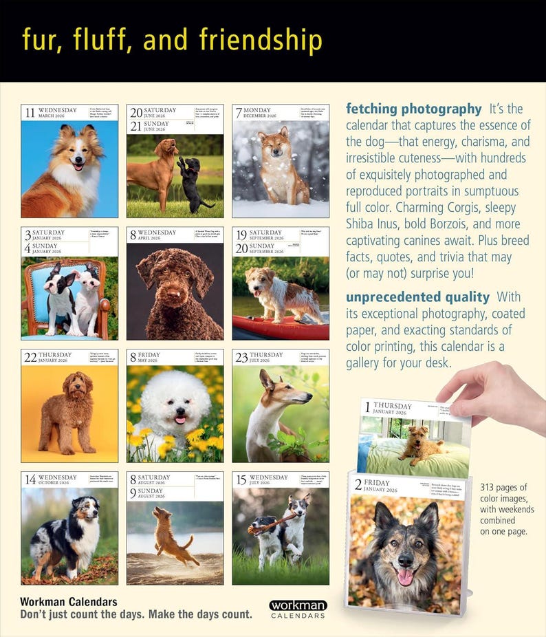 Dog Page-a-day® Gallery Calendar 2026: an Elegant Canine Celebration - Etsy