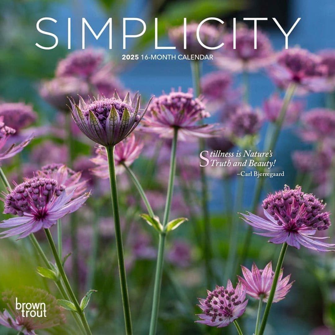 Browntrout, Simplicity 2025 Mini Wall Calendar - Etsy
