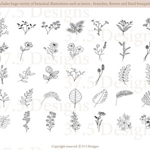 70 Botanical Svg Bundle | Floral Svg |flower Svg |botanical Clipart ...