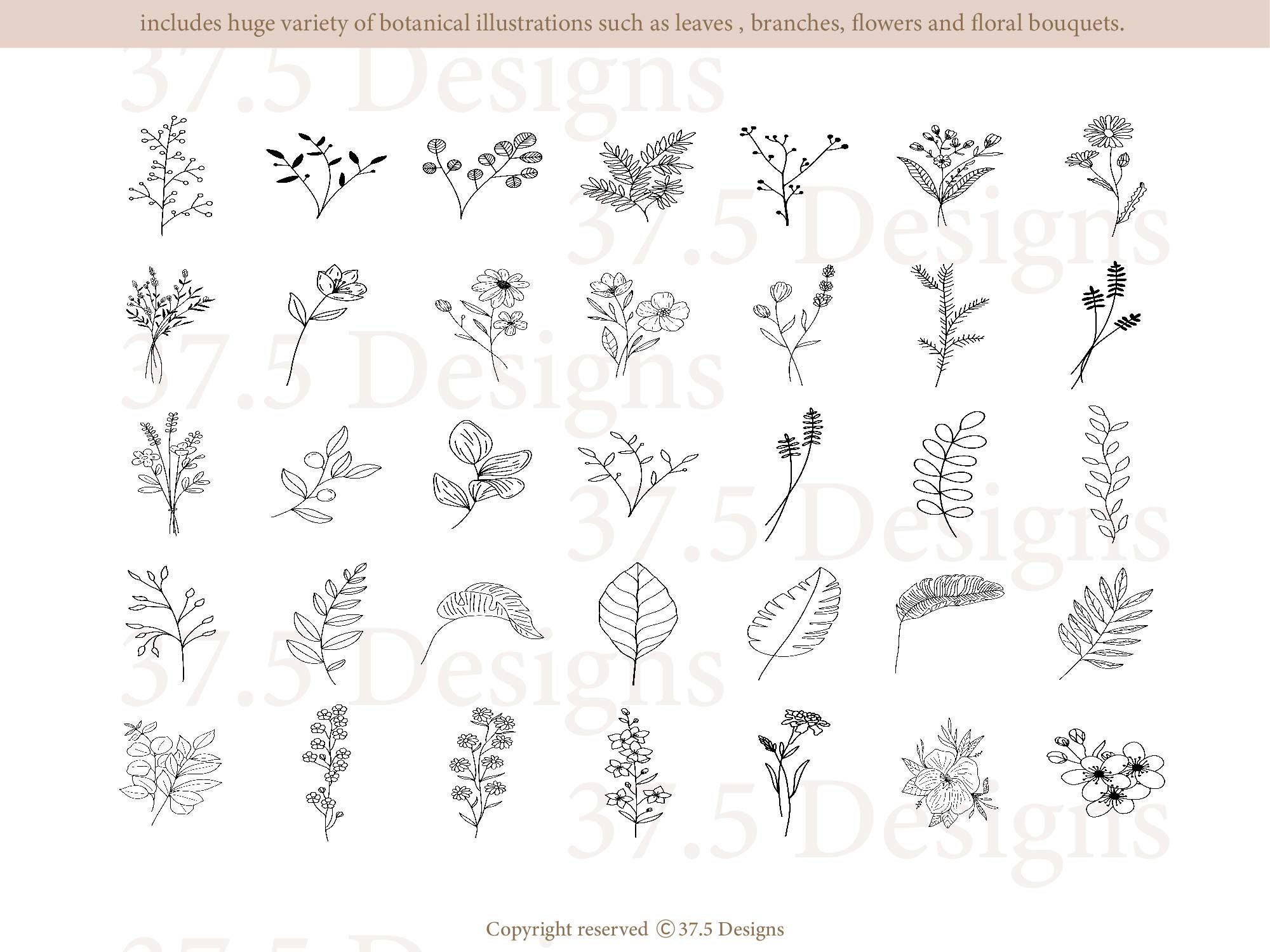 70 Botanical Svg Bundle Floral Svg flower Svg botanical Clipart flower ...