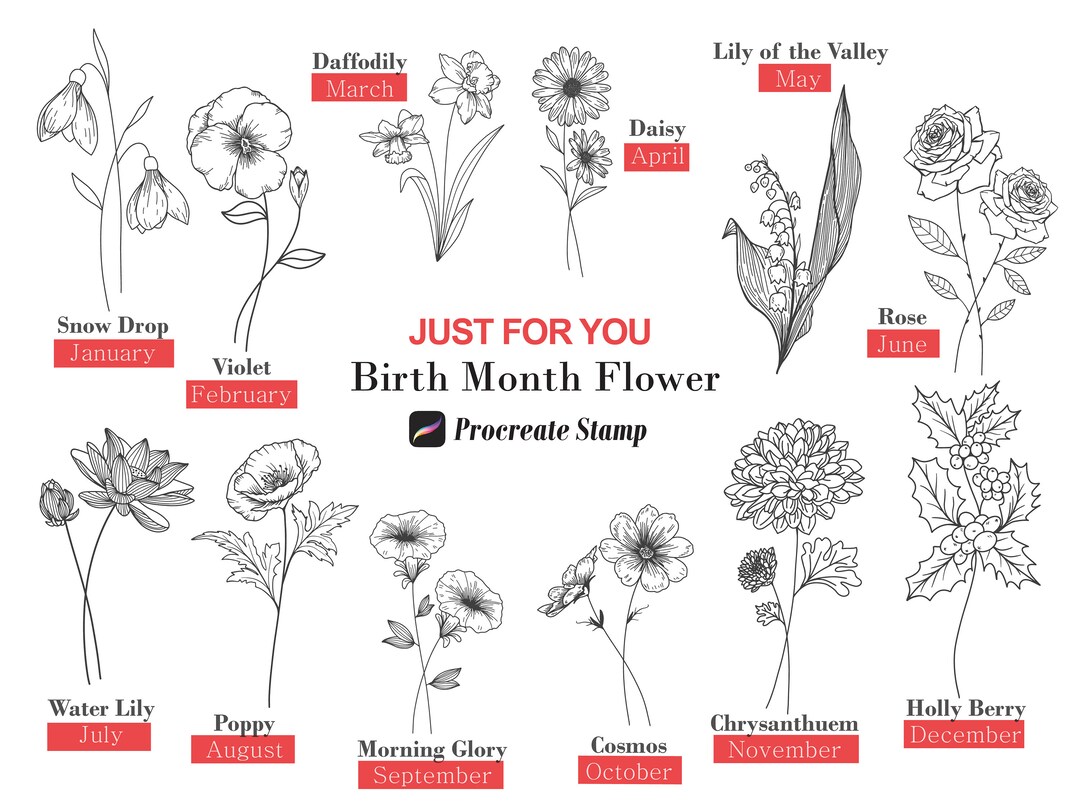 Procreate Birth Month Flower Stamps | Procreate Flowers | Procreate ...