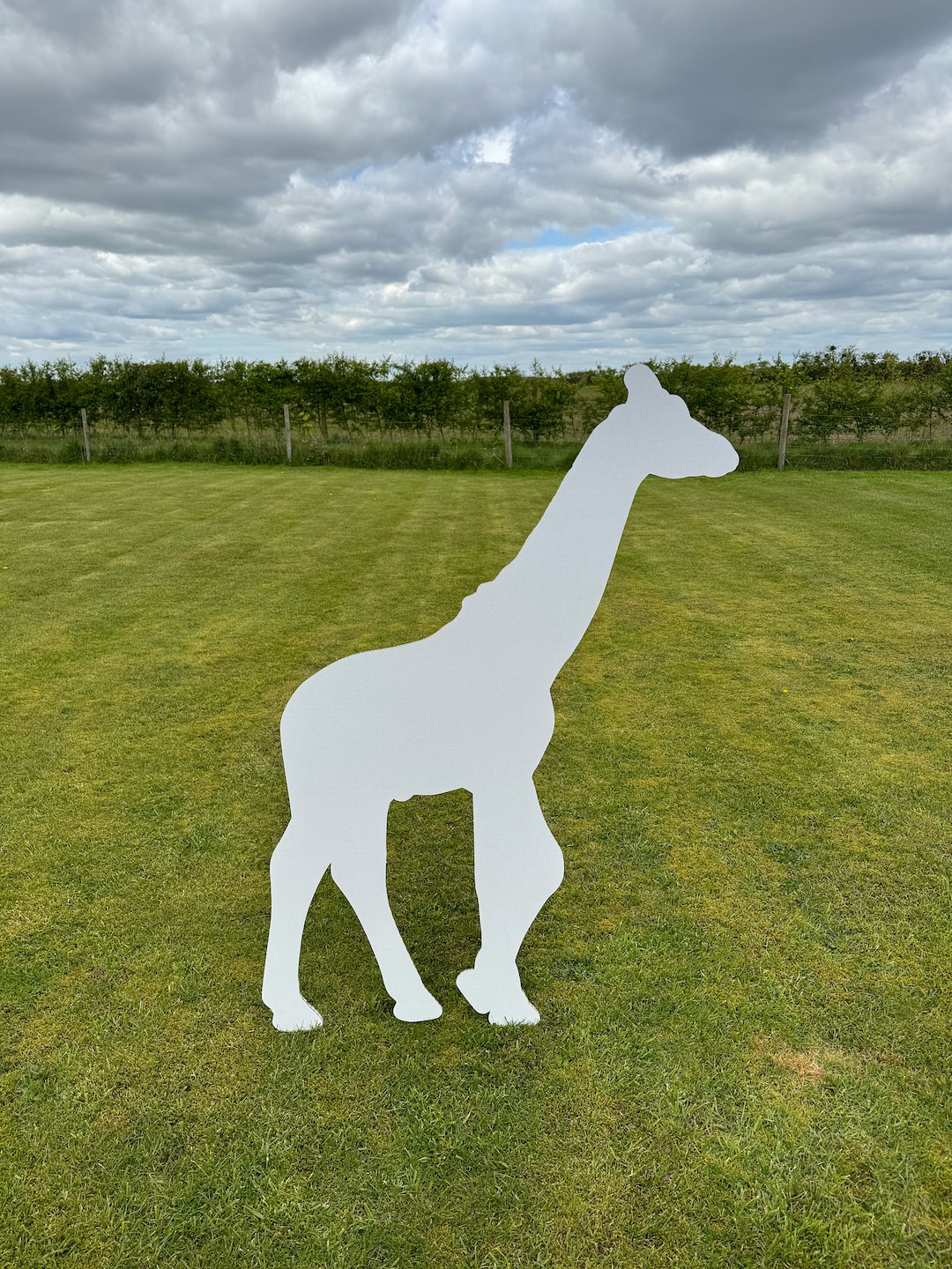 Safari Animal Silhouette - Giraffe, Giraffe Cut Out, Giraffe Party Prop ...
