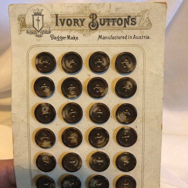 Vegetable Ivory - Etsy