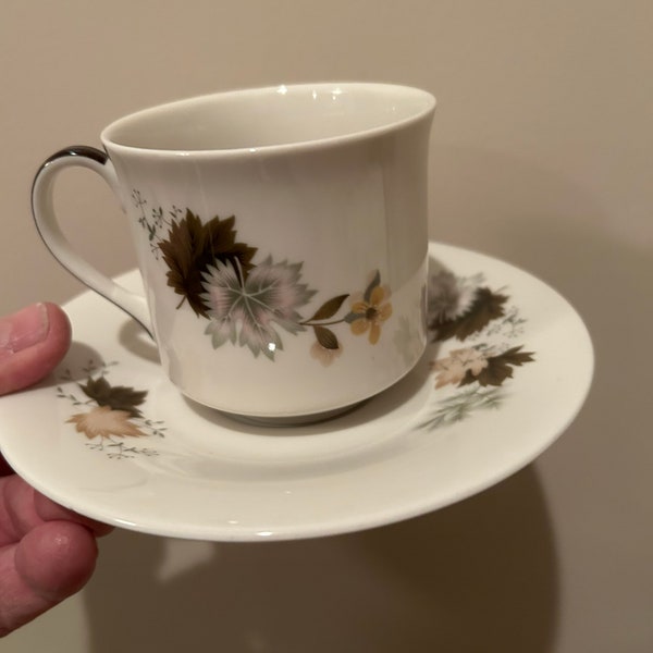 Translucent China - Etsy