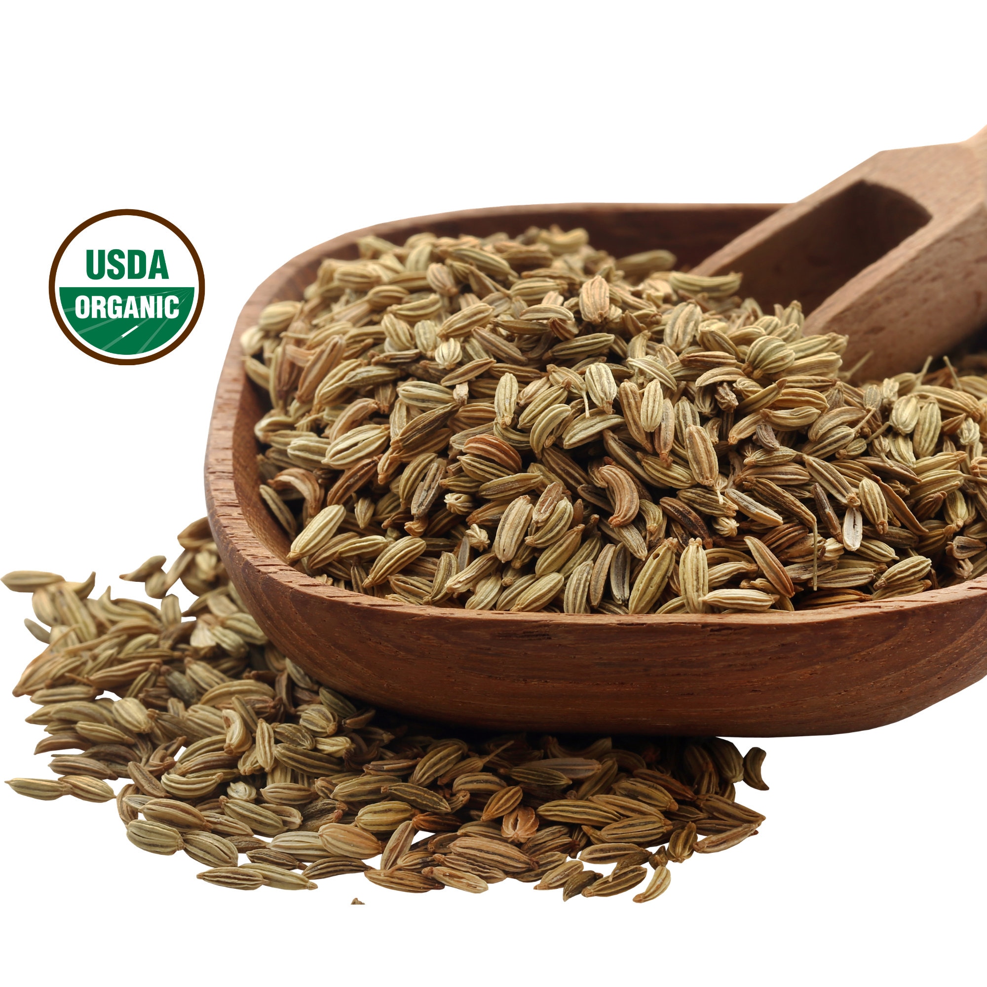 Organic Fennel Seed, Whole - 1 lb | Foeniculum Vulgare