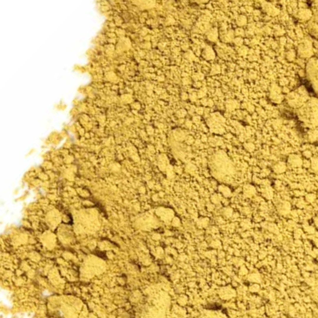 Barberry Root Bark Powder, Wildcrafted, 1lb | Berberis Vulgaris ...