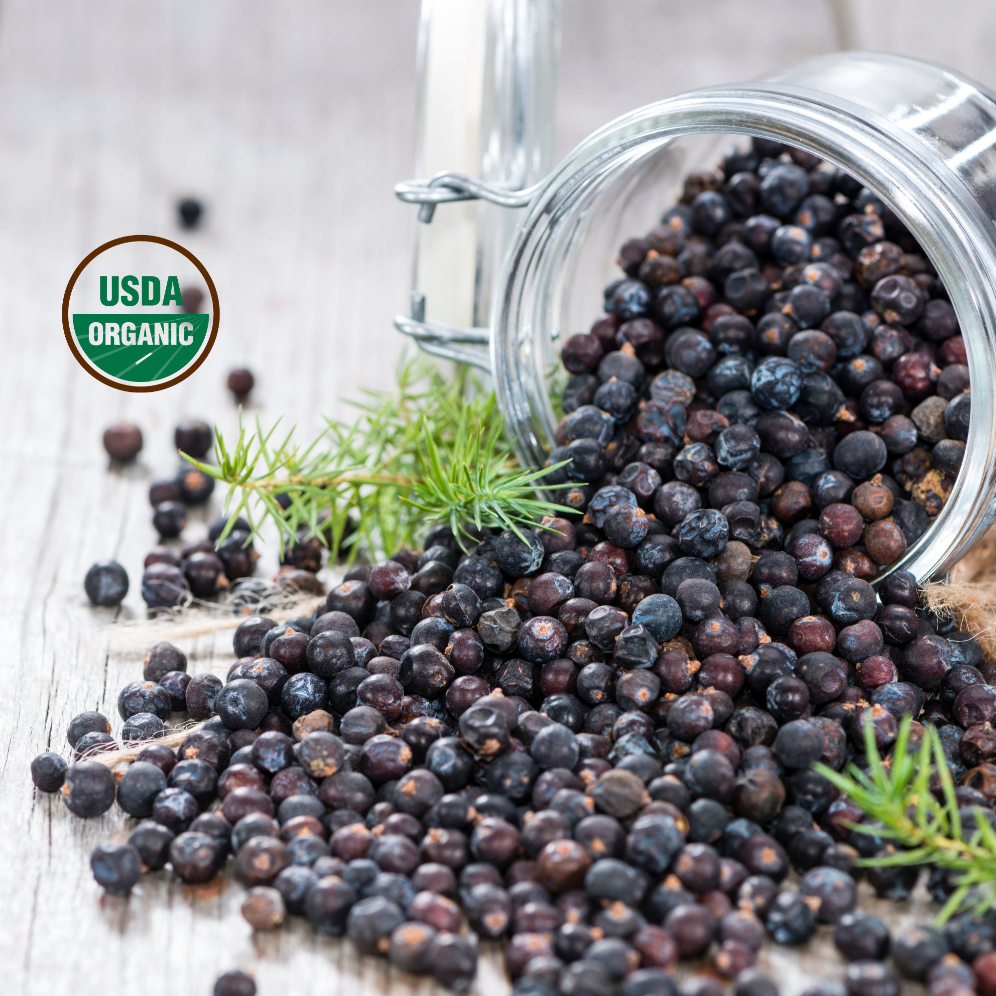 Juniper Berry Powder, Organic - 1lb | Juniperus Communis Dry Herb