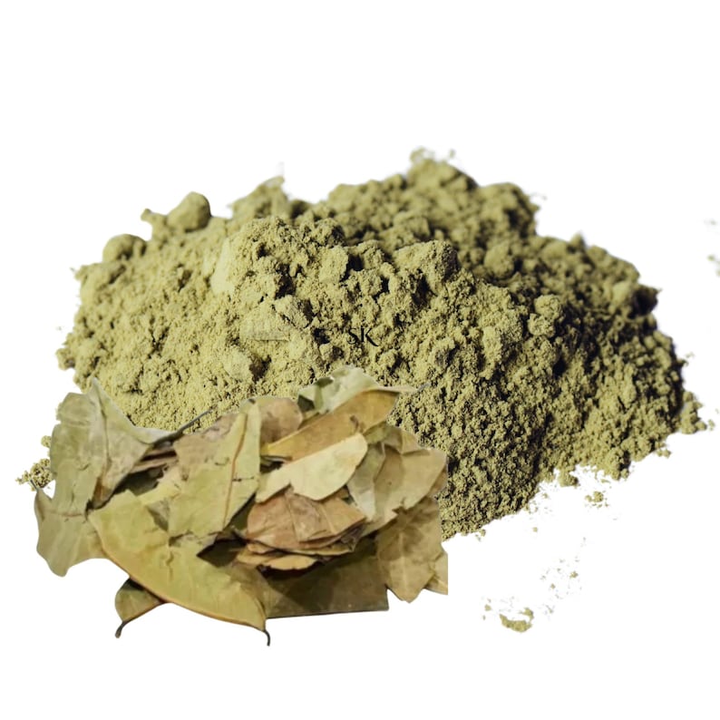 Soursop Leaf Powder, Raw: Graviola, Guanabana, Guyabano Herbal Tea ...
