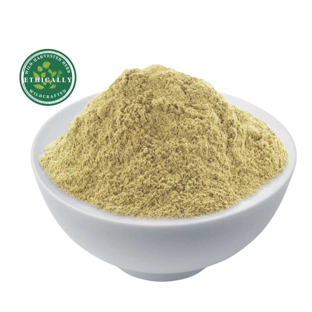 Prickly Pear Nopal Cactus Powder, Wildcrafted Nopales | Opuntia Ficus ...