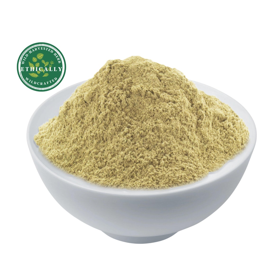 Prickly Pear Nopal Cactus Powder, Wildcrafted Nopales | Opuntia Ficus ...