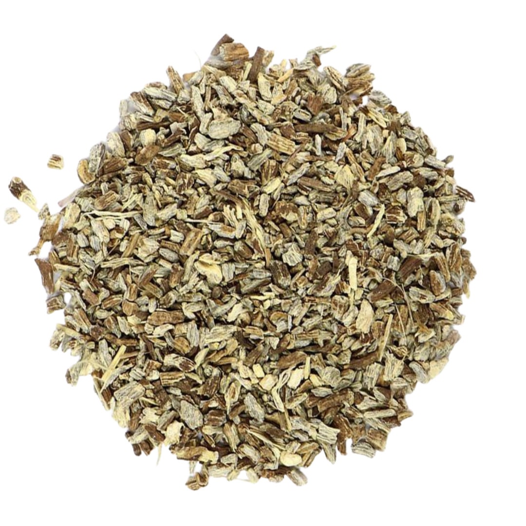 Sampson Snake Root: Echinacea Angustifolia, Spiritual Protection Herb ...
