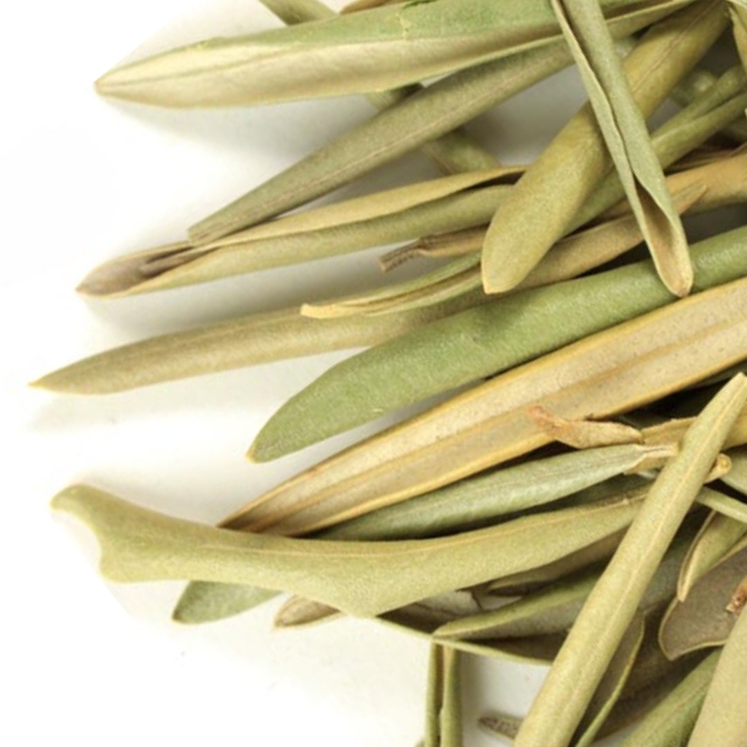 Greek Olive Leaf, Whole, Wildcrafted 1lb | Olea Europaea | Dried Tea ...