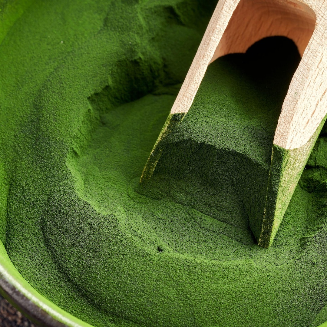 Chlorella Powder: Freshwater Blue-green Algae, Pulverized Cell ...