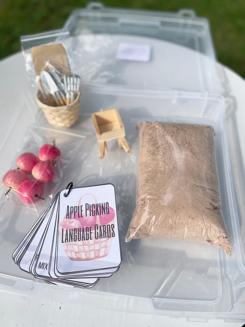 Sensory Play Apple Picking Bin, Language Cards, Wh Questions ...