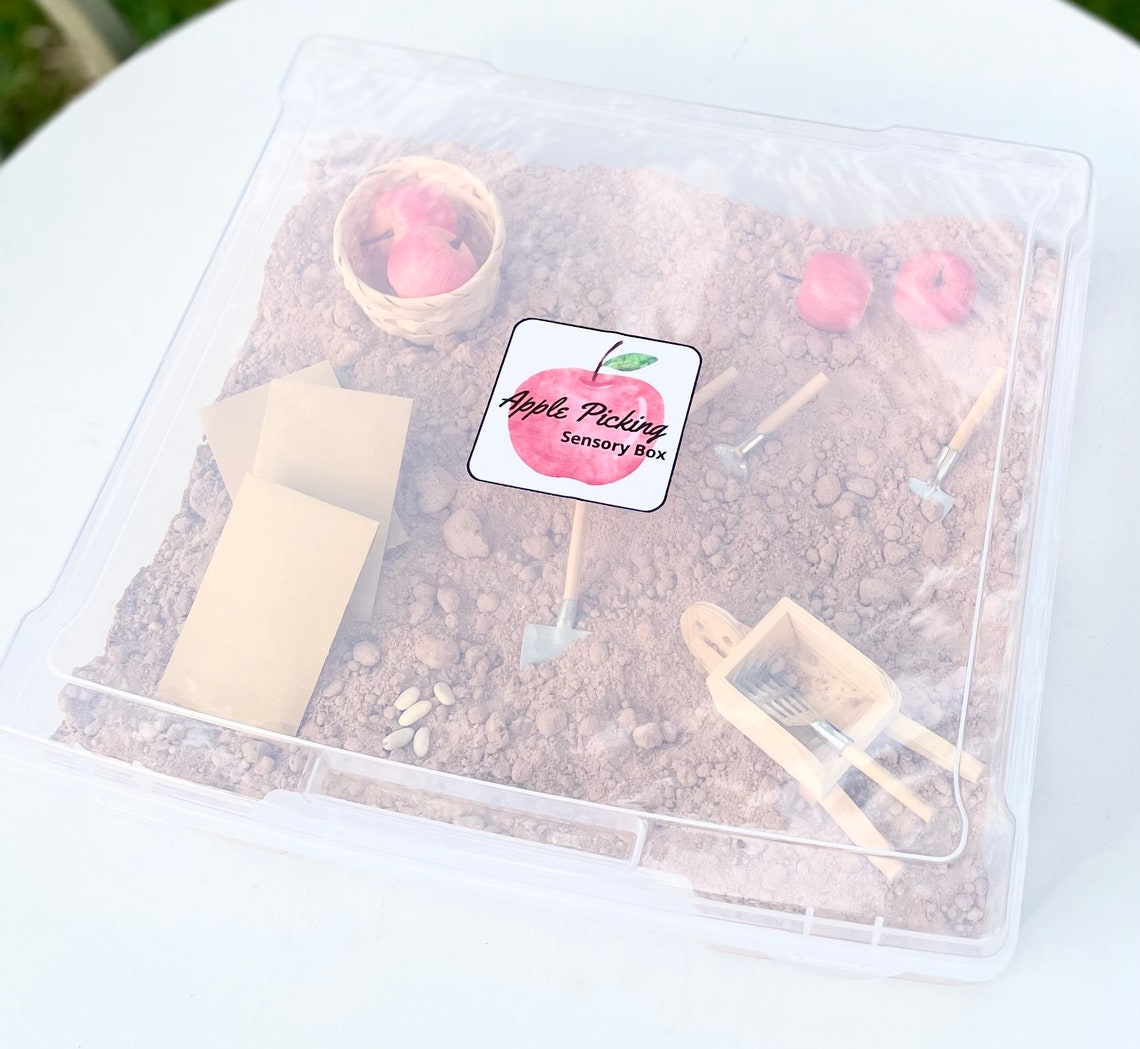 Sensory Play Apple Picking Bin Language Cards Wh Questions - Etsy