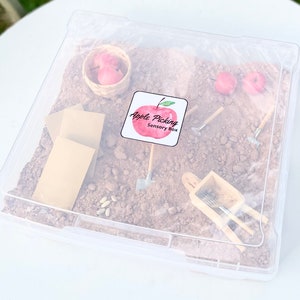 Sensory Play Apple Picking Bin, Language Cards, Wh Questions ...