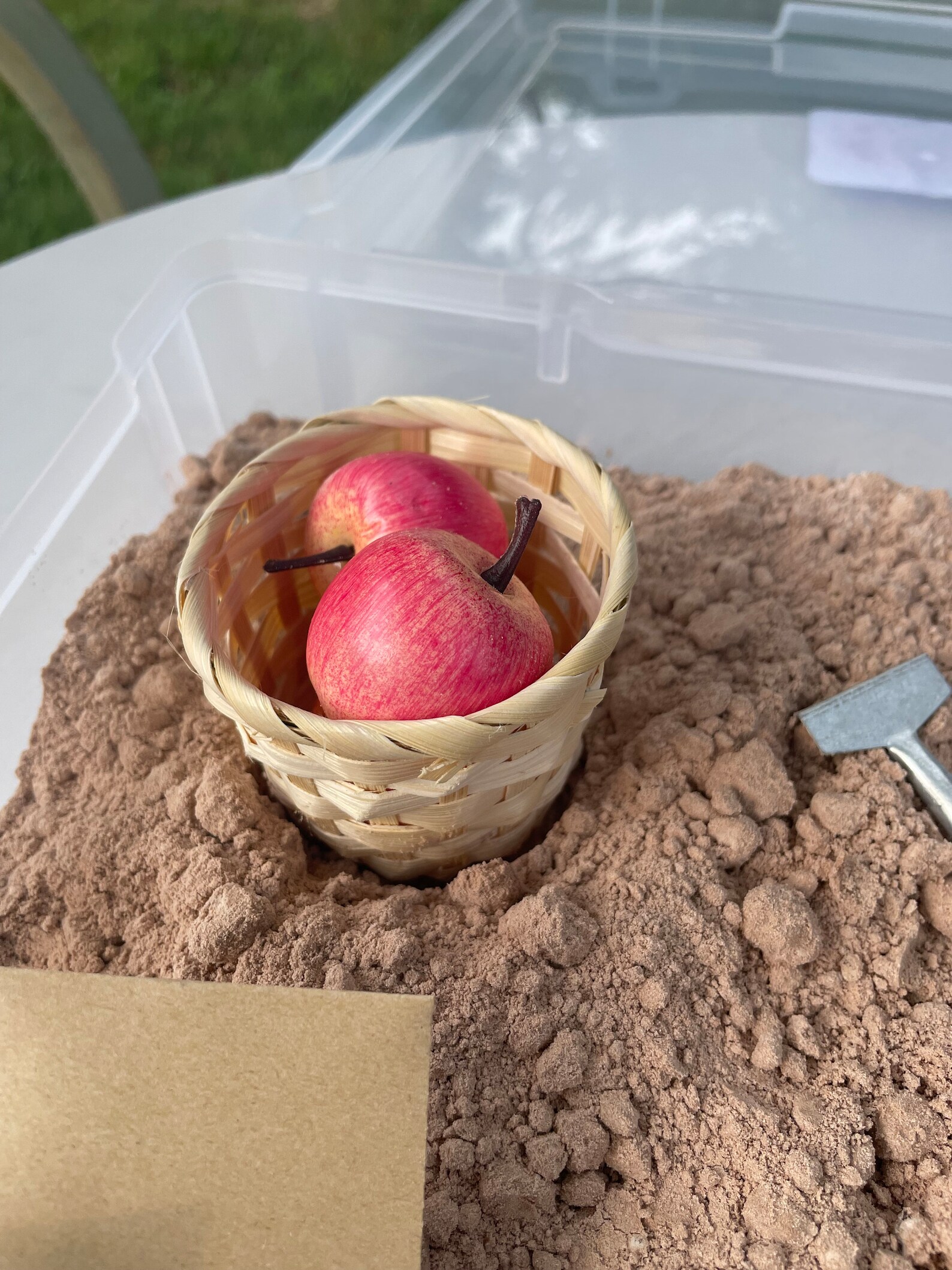 Sensory Play Apple Picking Bin, Language Cards, Wh Questions ...