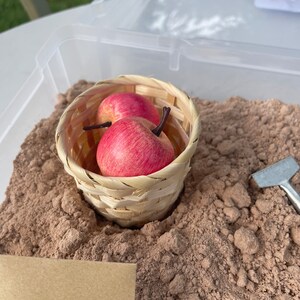 Sensory Play Apple Picking Bin, Language Cards, Wh Questions ...