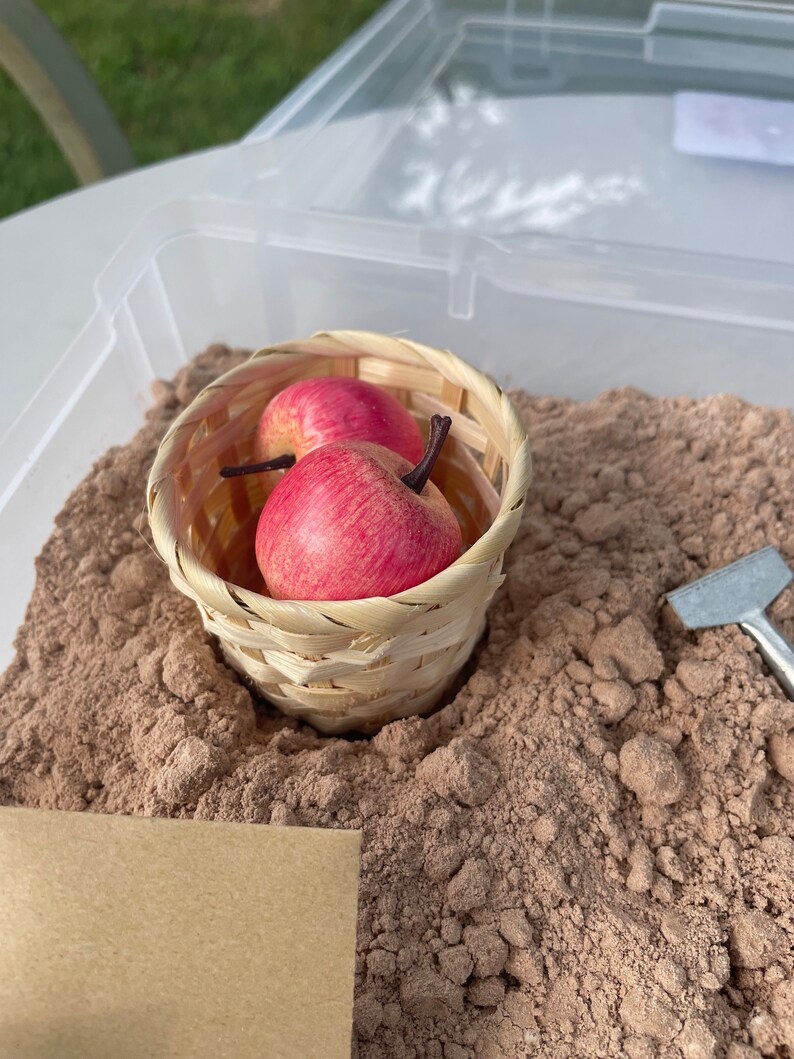 Sensory Play Apple Picking Bin, Language Cards, Wh Questions ...