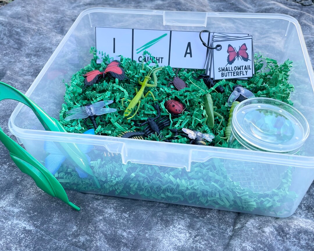 Catching Bugs Bin, Language Expansion Activity, Sensory Bin, Bug ...