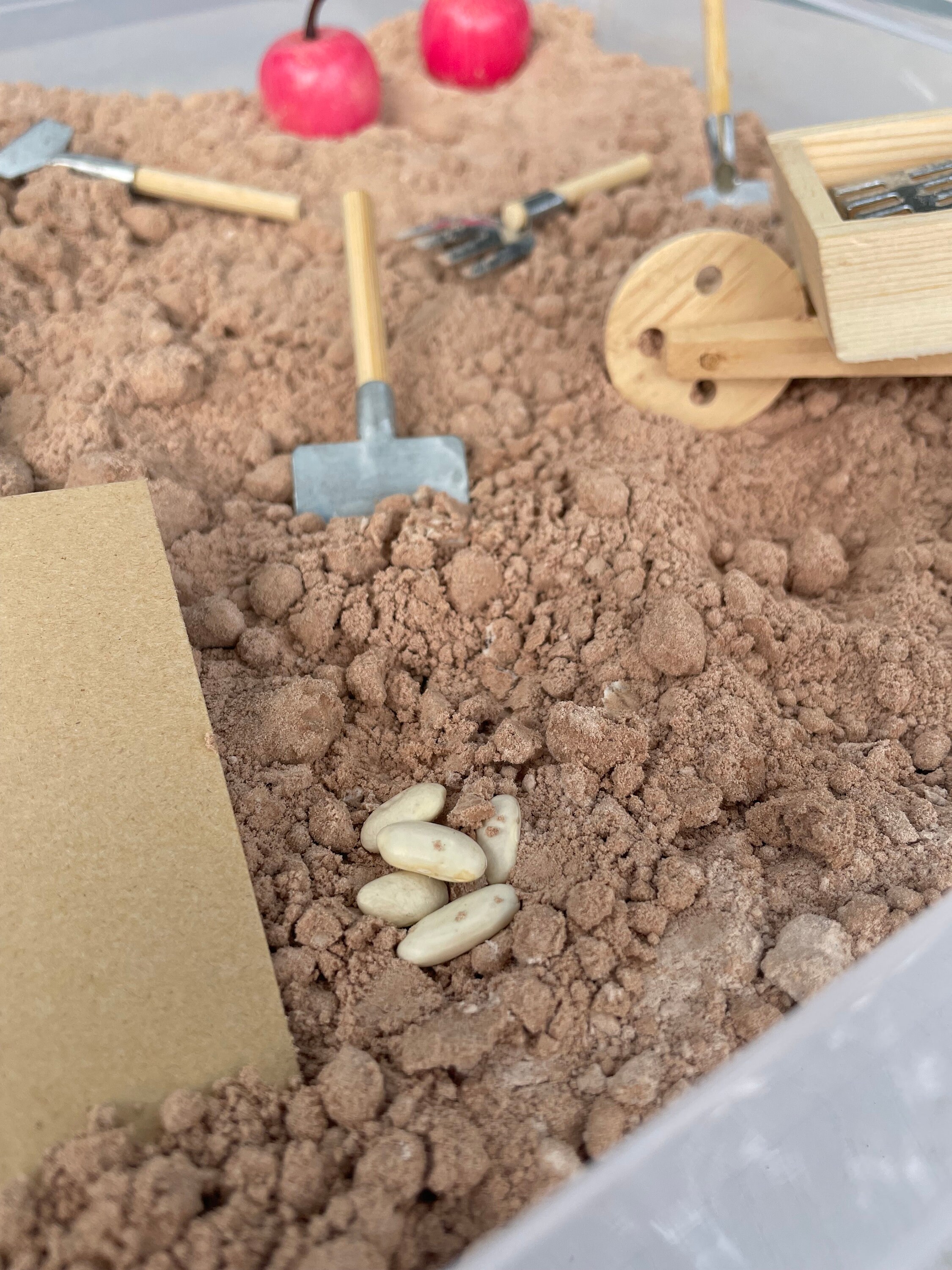 Sensory Play Apple Picking Bin, Language Cards, Wh Questions ...
