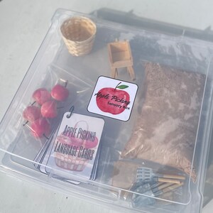 Sensory Play Apple Picking Bin, Language Cards, Wh Questions ...